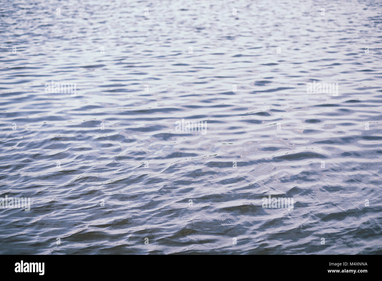 Landscape lake. Texture of water. The lake is at dawn. The mouth Stock ...