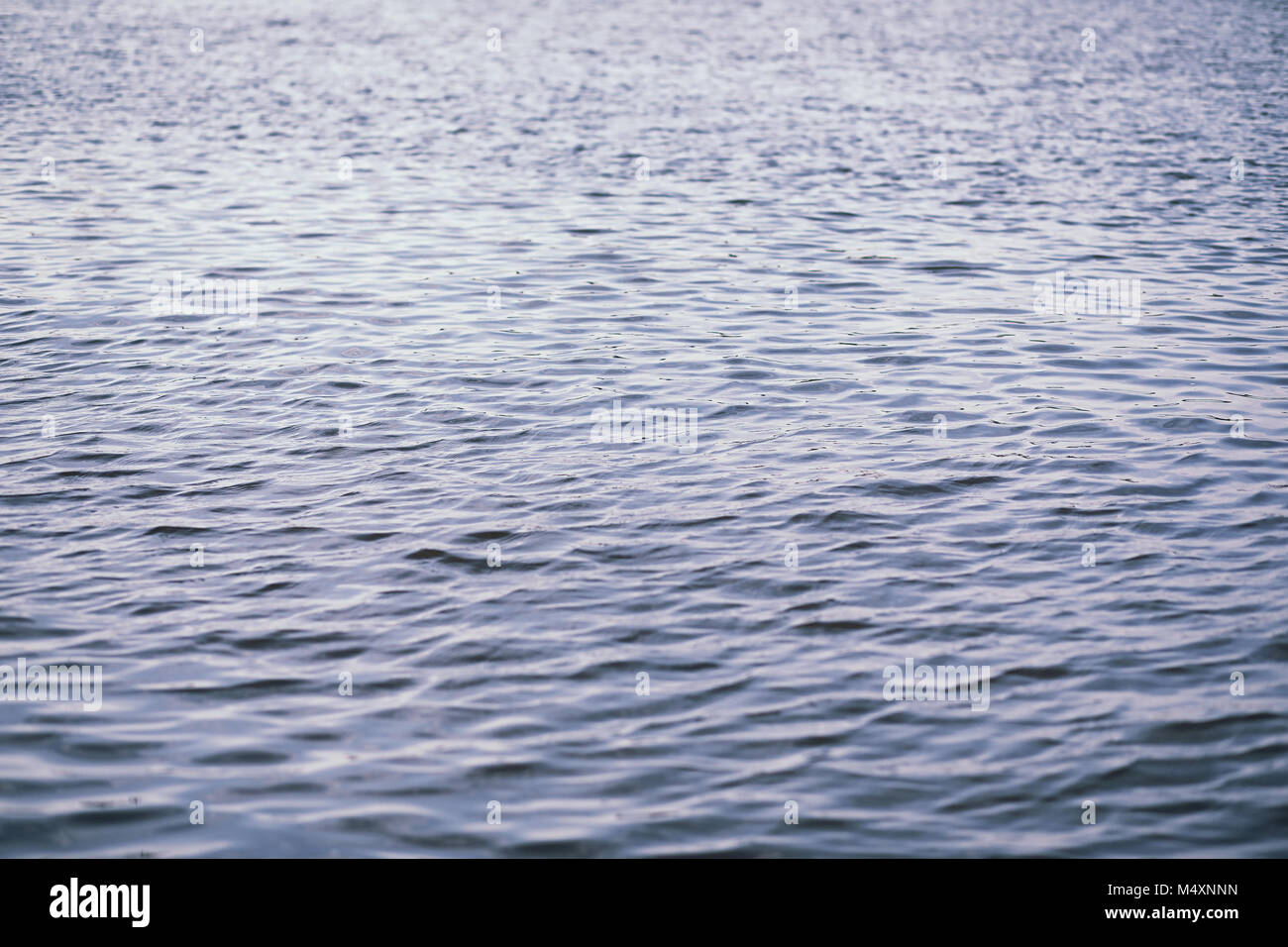 Landscape lake. Texture of water. The lake is at dawn. The mouth Stock ...