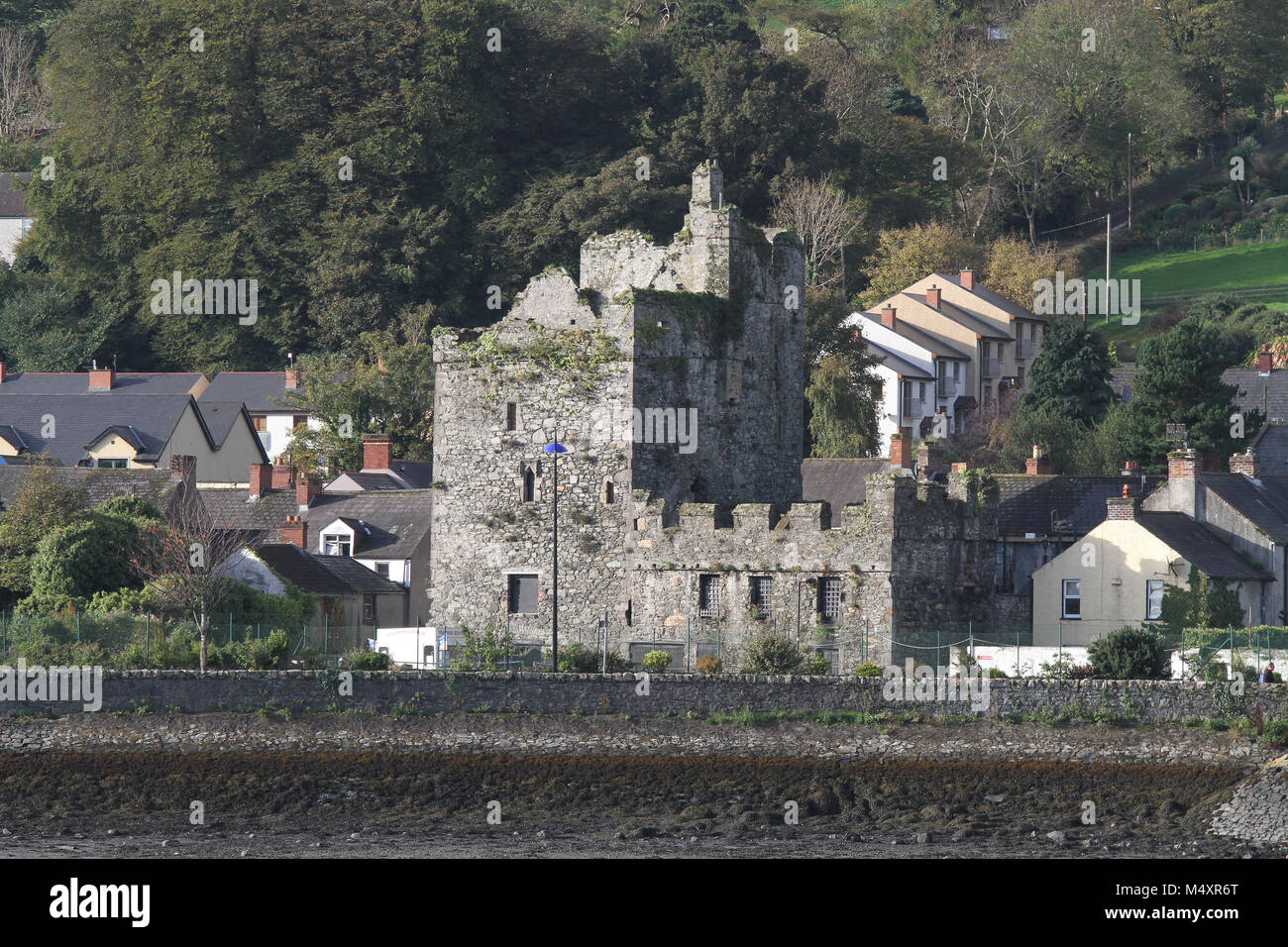 Taaffes Castle a fortified tower-house or merchants house in ...