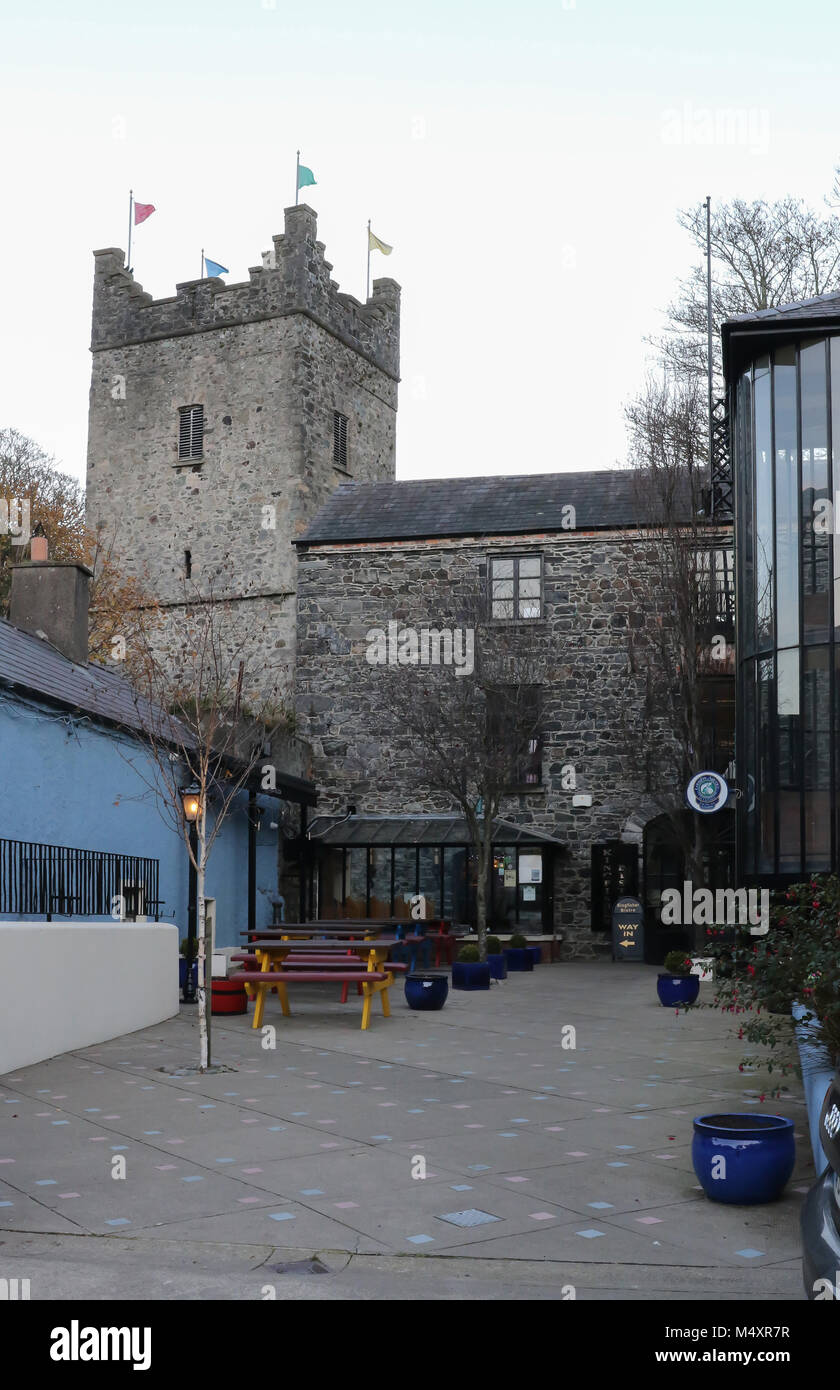 Carlingford Co. Louth High Resolution Stock Photography and Images - Alamy