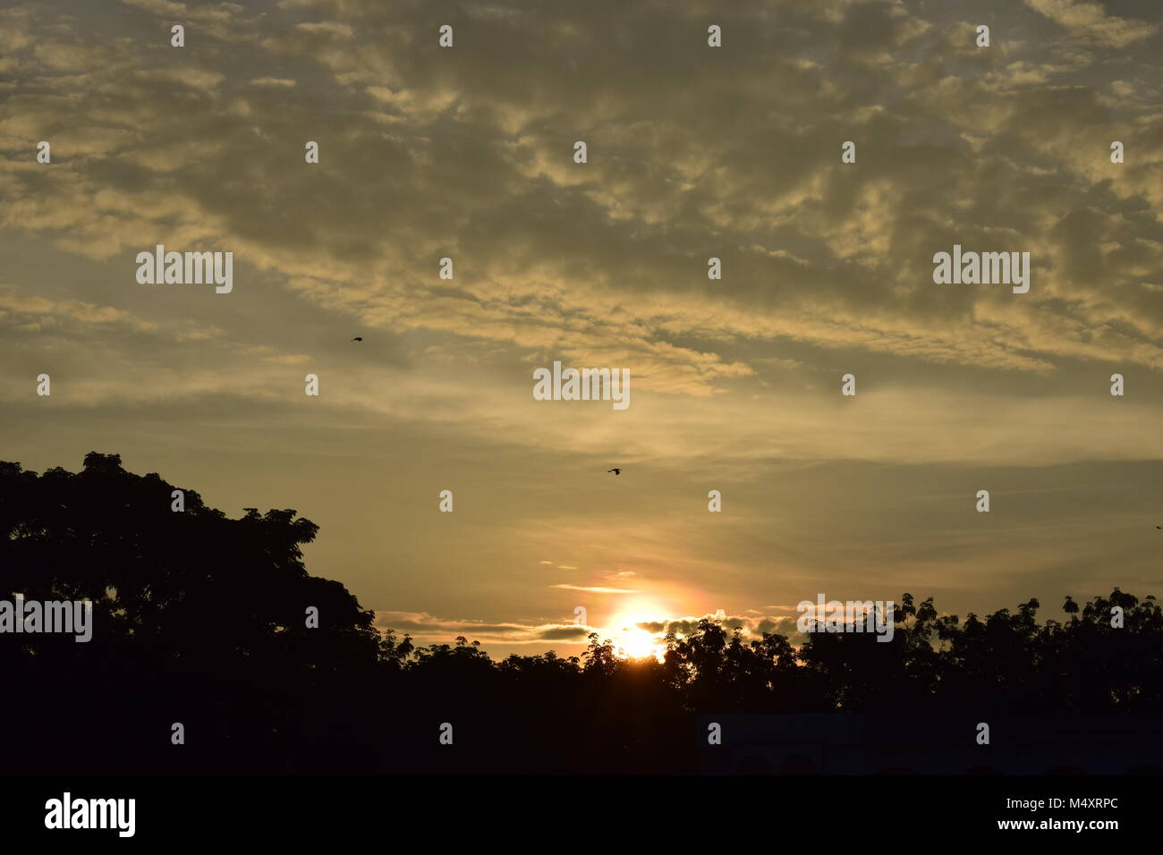Wallpaper burning hi-res stock photography and images - Alamy