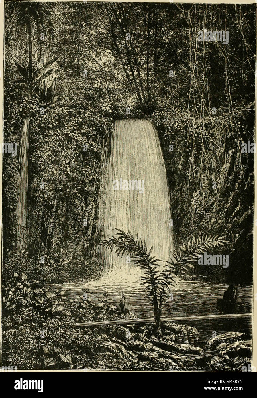 "Africa and its inhabitants" (1899 Stock Photo - Alamy