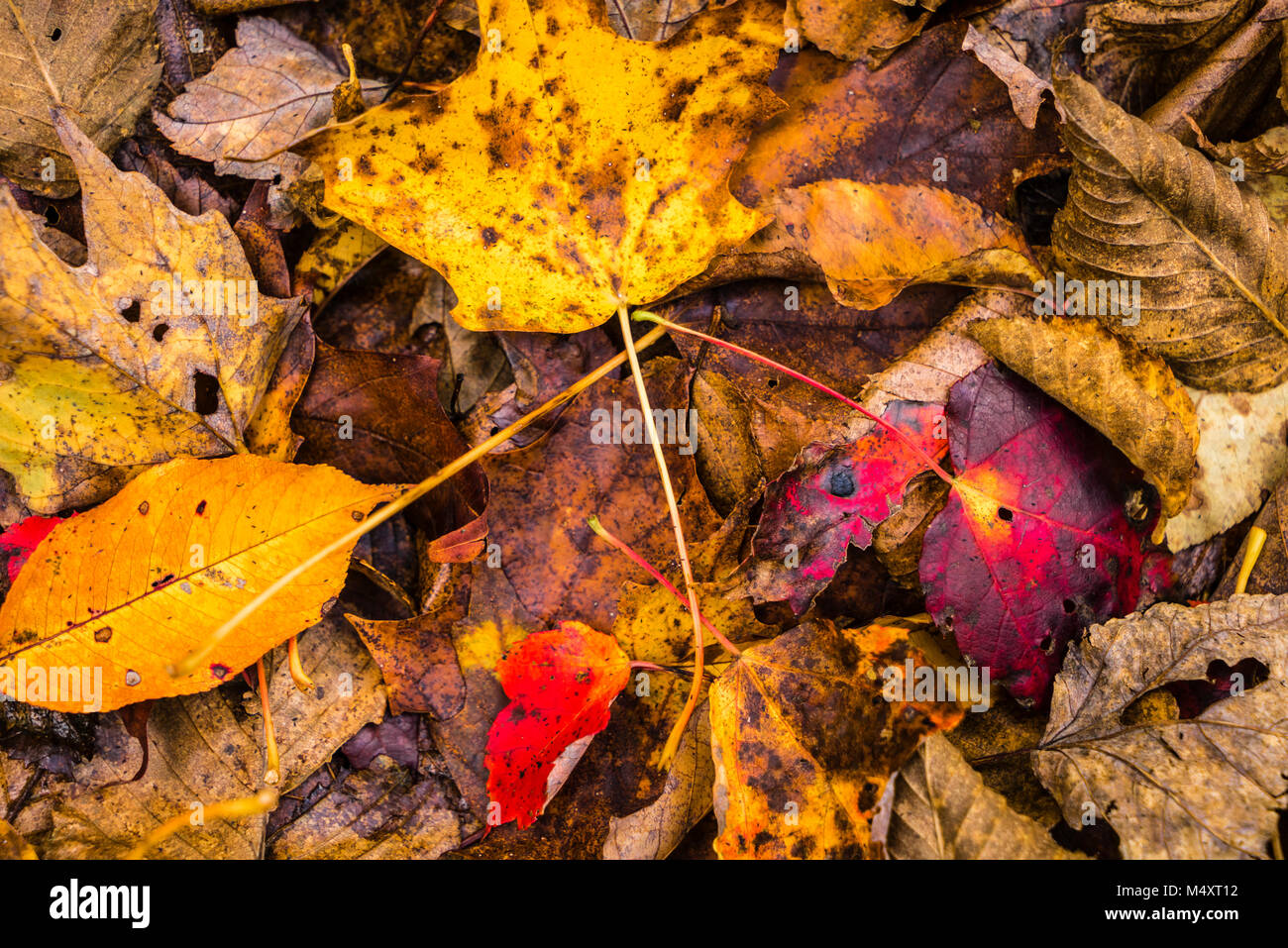 Back dam hi-res stock photography and images - Alamy