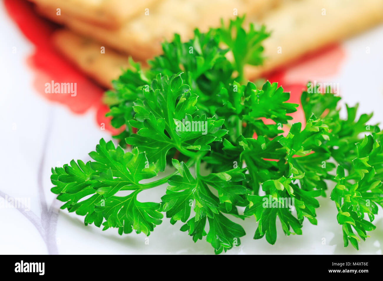 Fresh organic parsley in a porcelain plate, great close-up picture ...