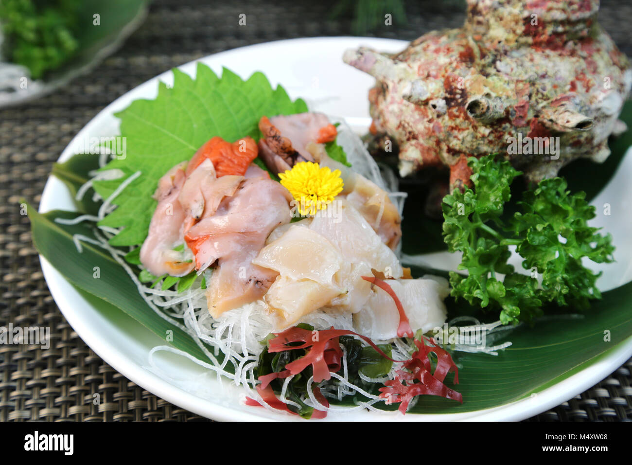 Sashimi of shell Stock Photo - Alamy