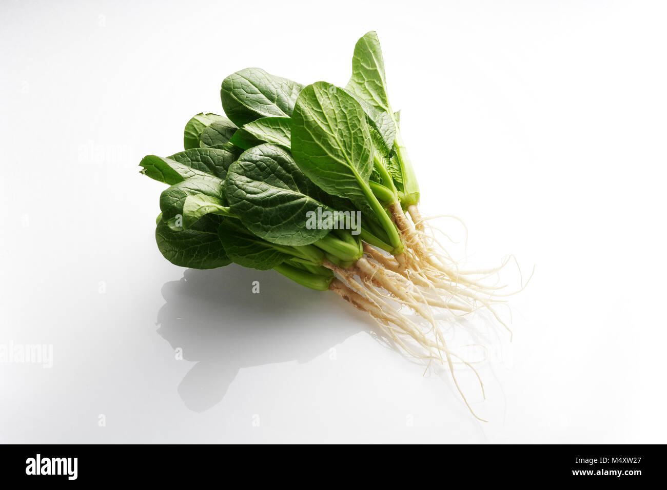 Komatsuna hi-res stock photography and images - Alamy