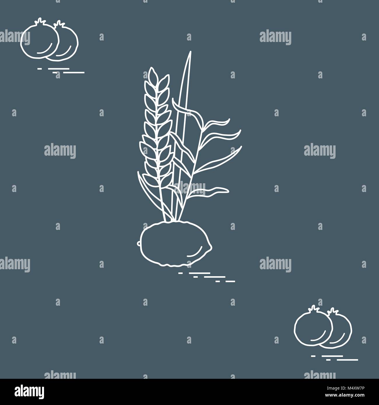 The lulav and the etrog Stock Vector Images - Alamy