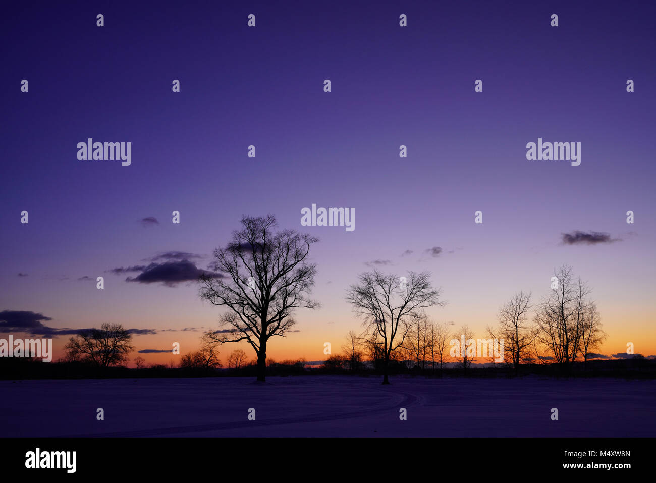 Dawn in winter Stock Photo - Alamy