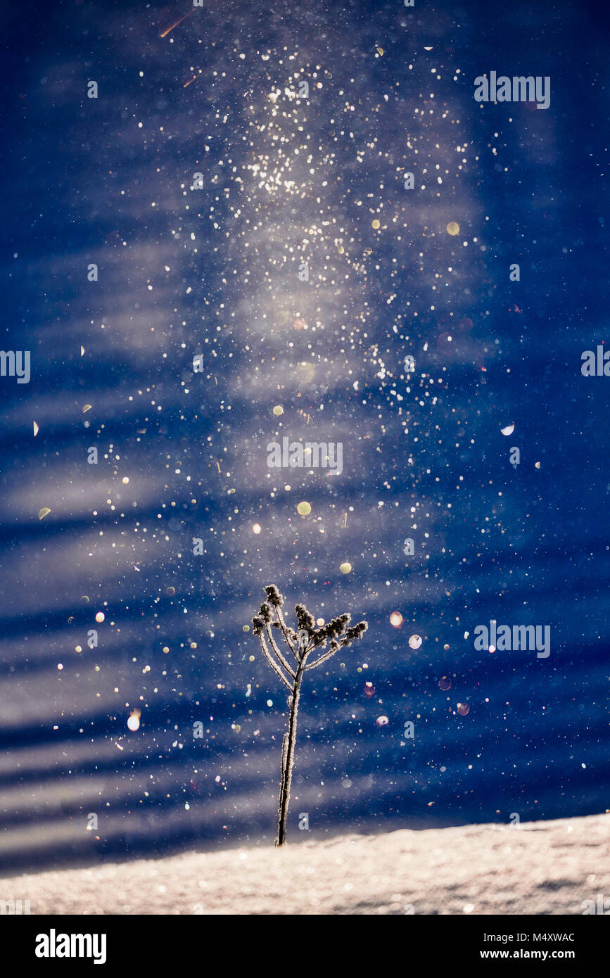 Diamond dust weather hi-res stock photography and images - Alamy