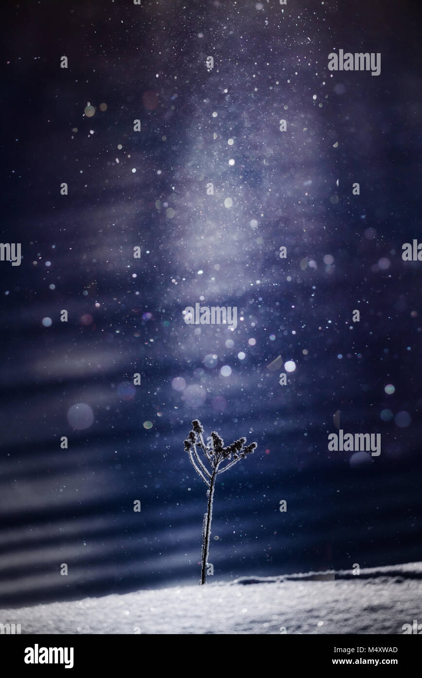 Diamond light refraction hi-res stock photography and images - Alamy