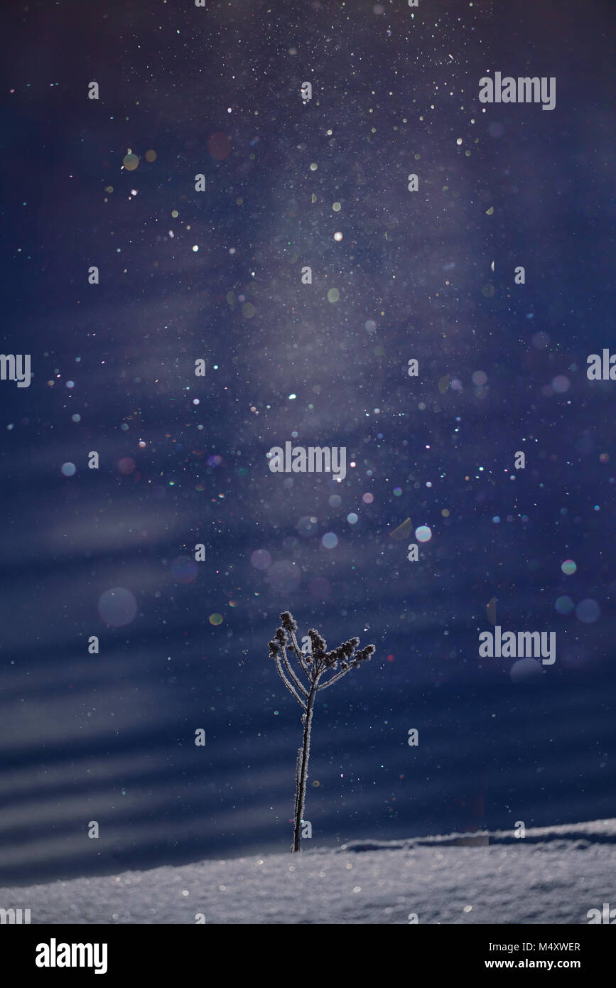 Diamond dust hi-res stock photography and images - Alamy