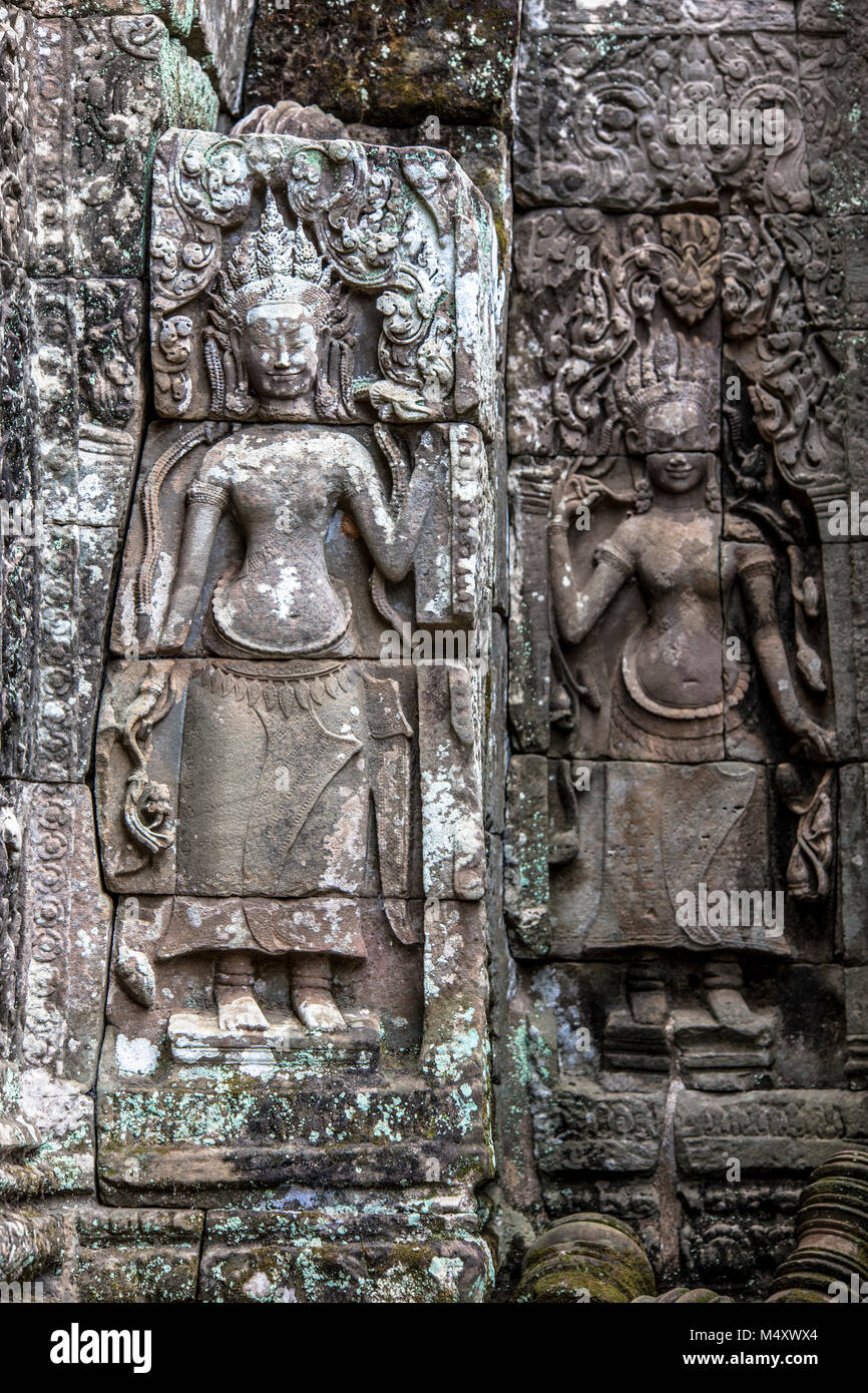 Siem Reap Angkor Wat apsara dancer ancient stone carving on wall and ...