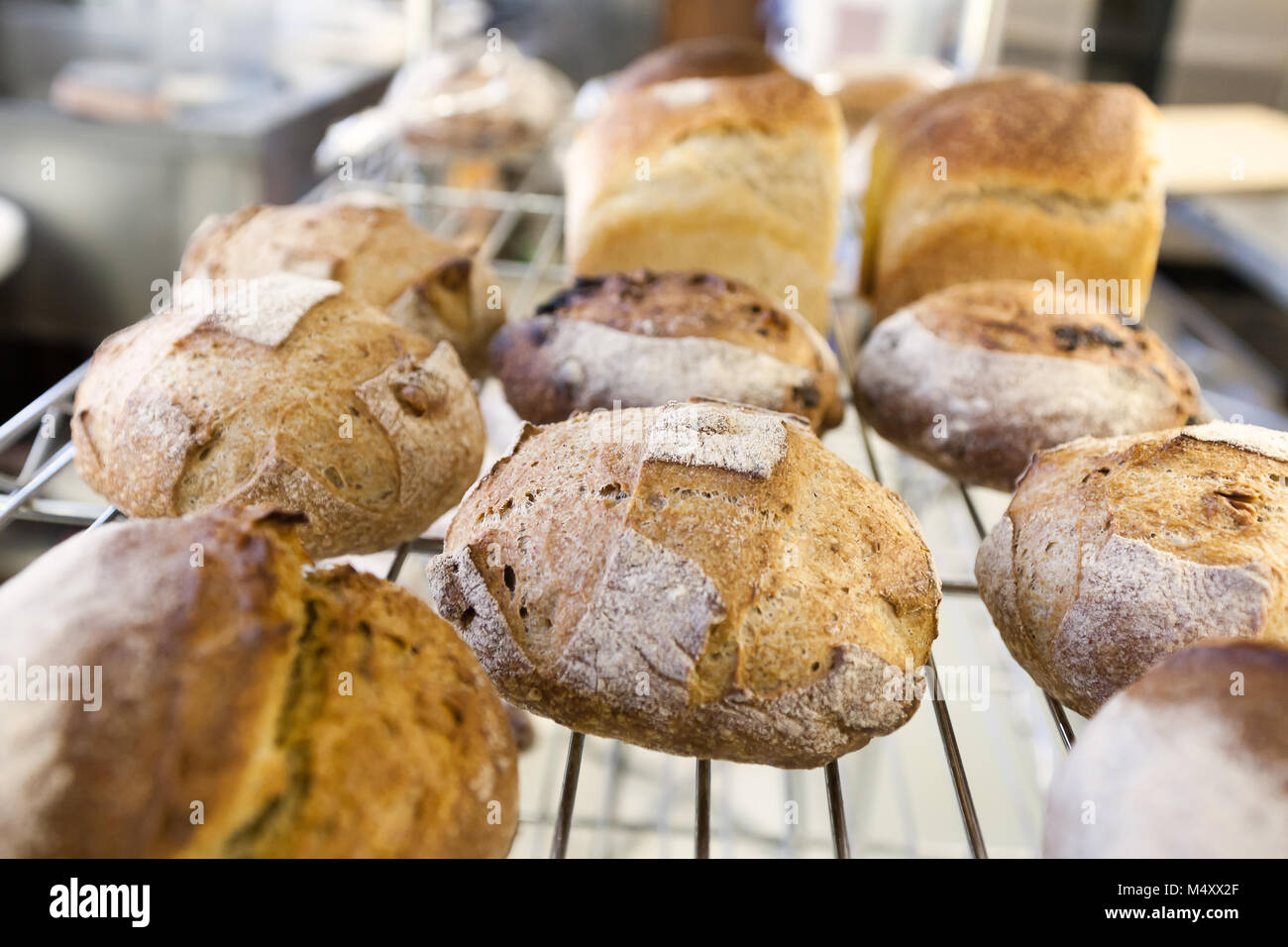 Bread preservation hi-res stock photography and images - Alamy