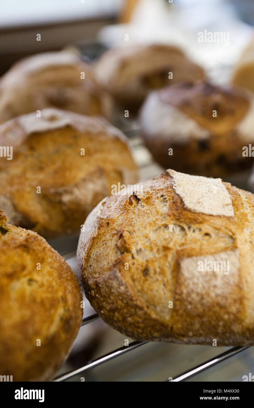 Bread preservation hi-res stock photography and images - Alamy