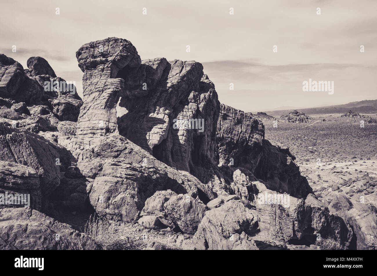 Natural Building of Elephant Rock in the Valley of Fire Stock Photo - Alamy