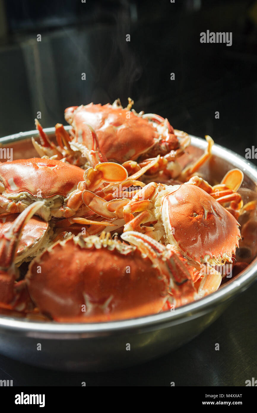 Ovalipes punctatus hi-res stock photography and images - Alamy