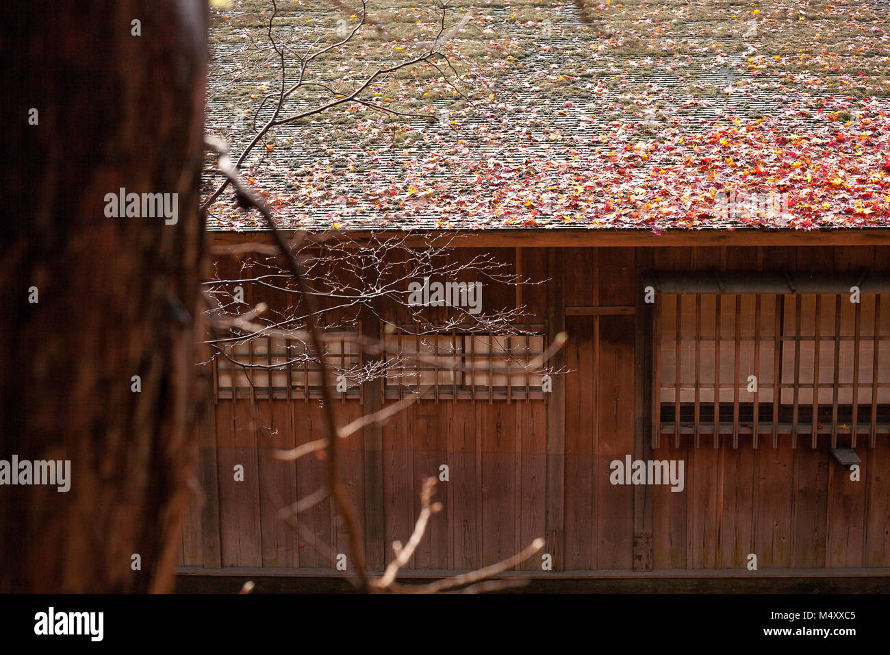 Shimamatsu Station Teisho in autumn Stock Photo - Alamy