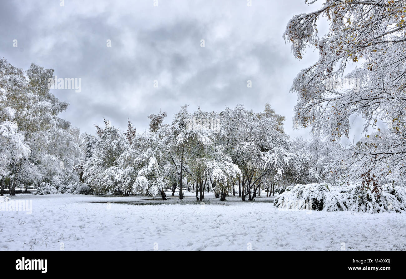 City park after snowfall hi-res stock photography and images - Alamy