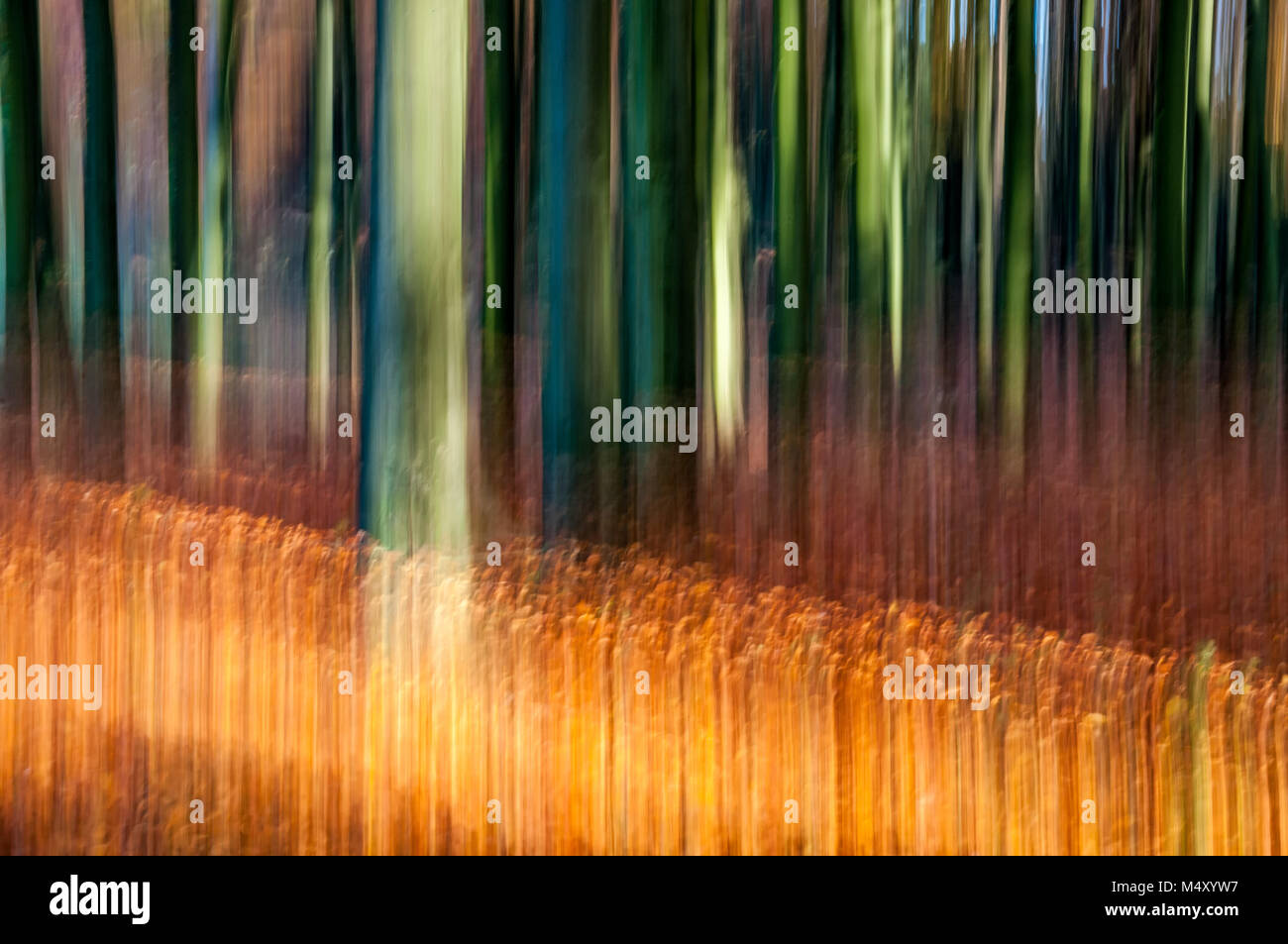 Motion background hi-res stock photography and images - Alamy