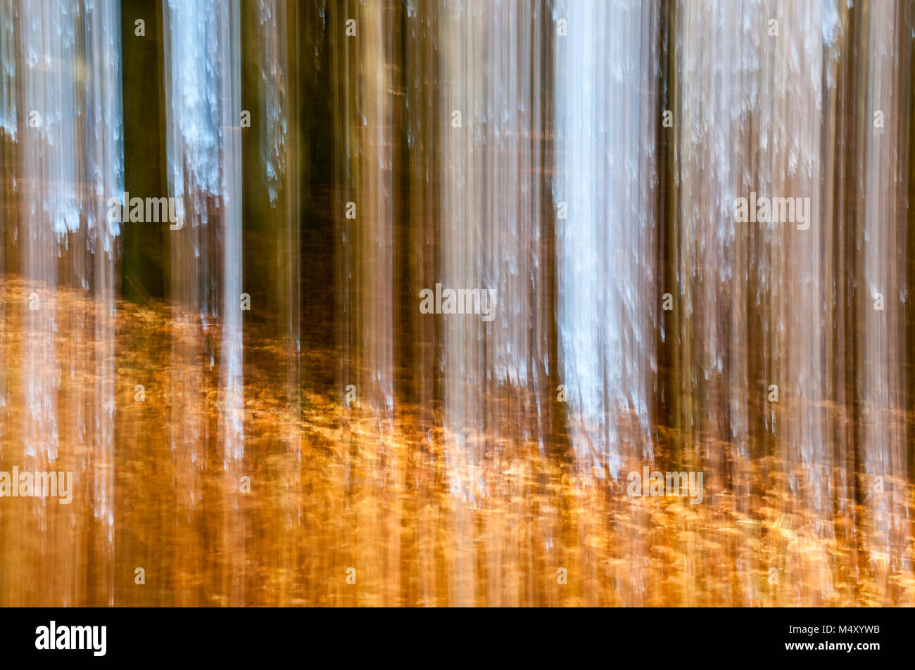 Nature motion background hi-res stock photography and images - Alamy