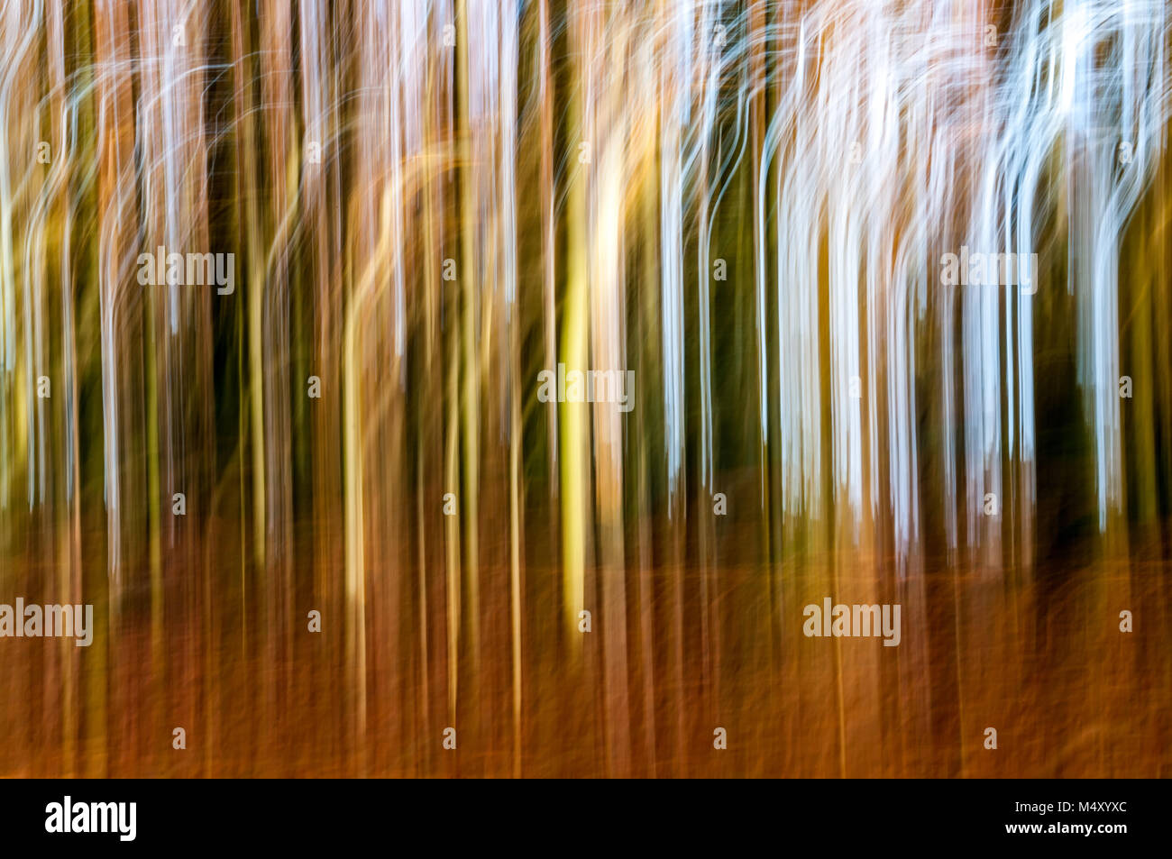 Nature motion background hi-res stock photography and images - Alamy