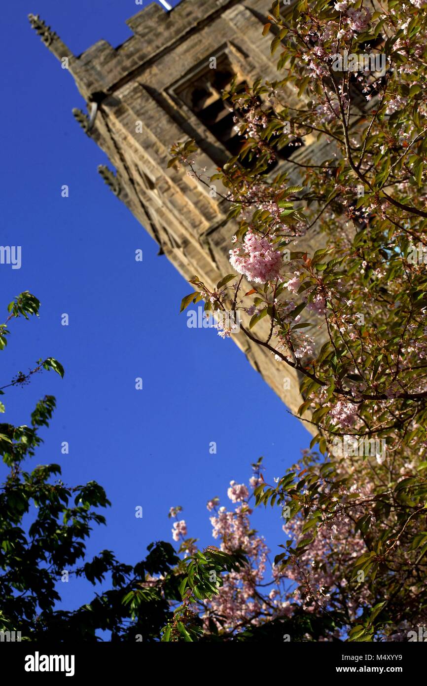St Gregorys Church, Bedale, North Yorkshire Stock Photo - Alamy
