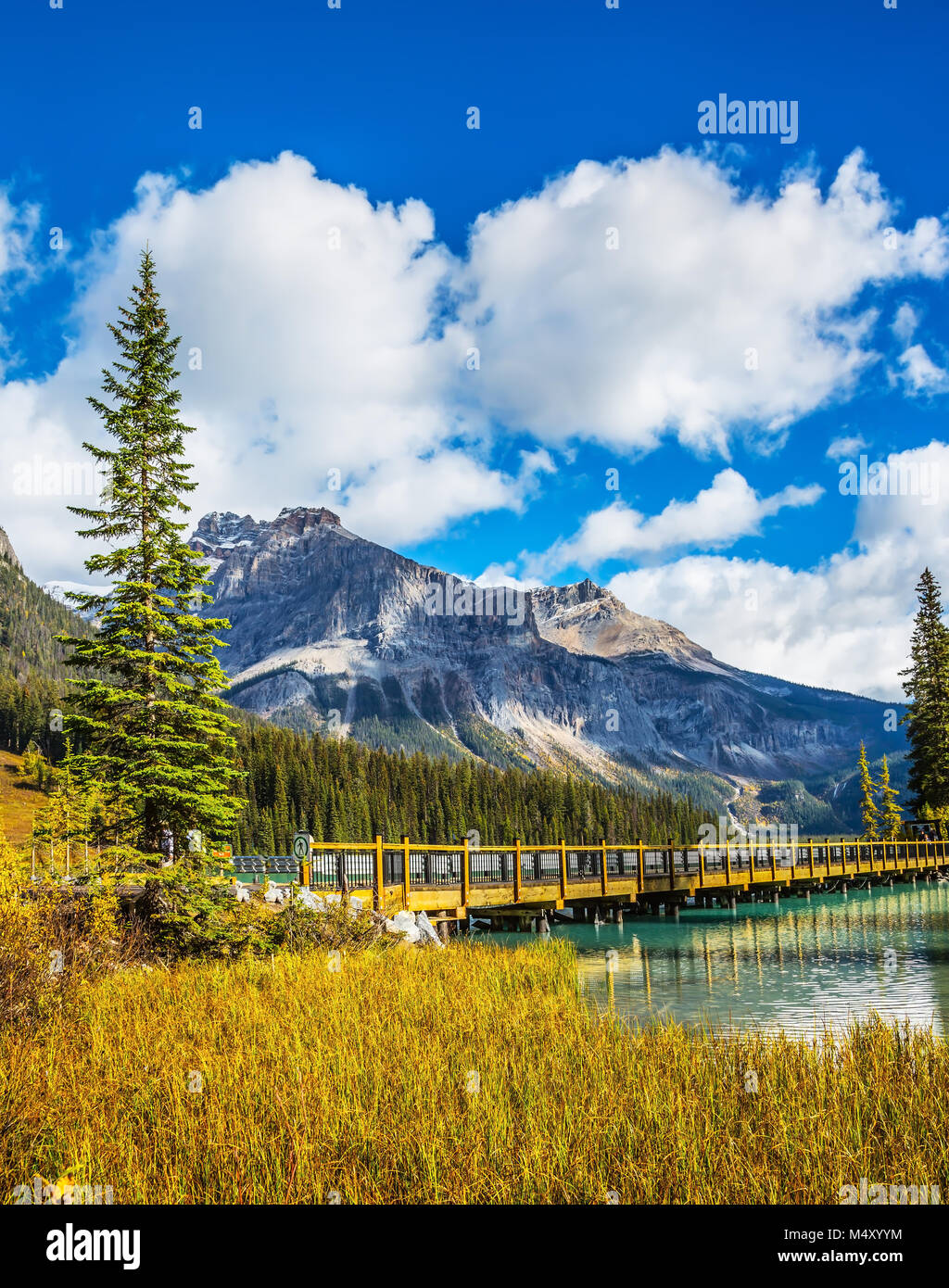Wooden bridge over lake Stock Photo - Alamy