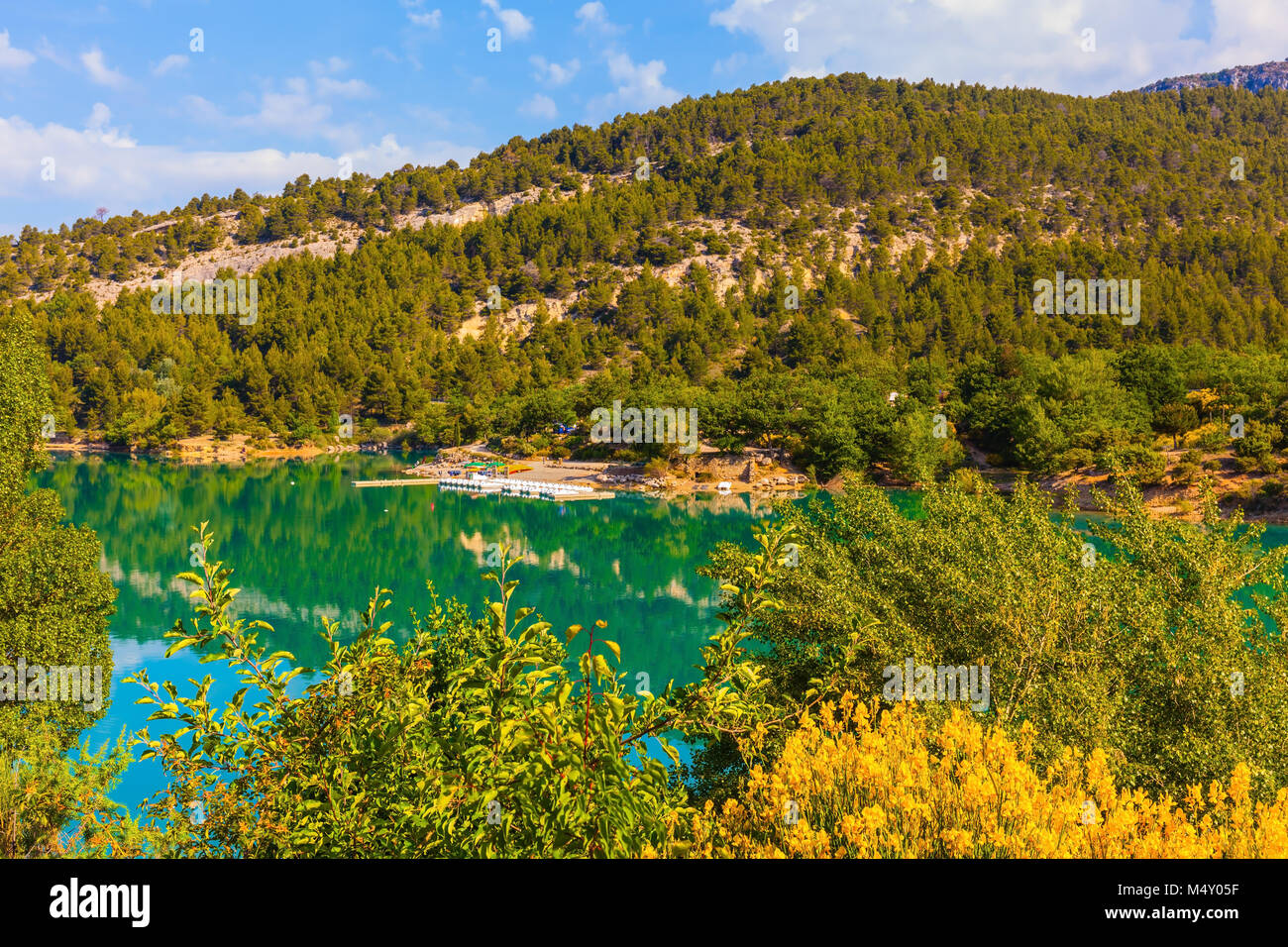 Smooth emerald river reflects wooded shore Stock Photo - Alamy