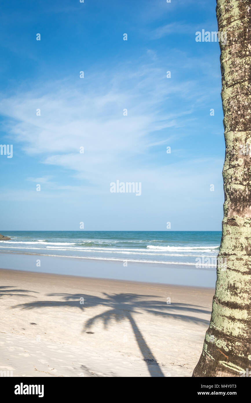 View from coco palm hi-res stock photography and images - Alamy