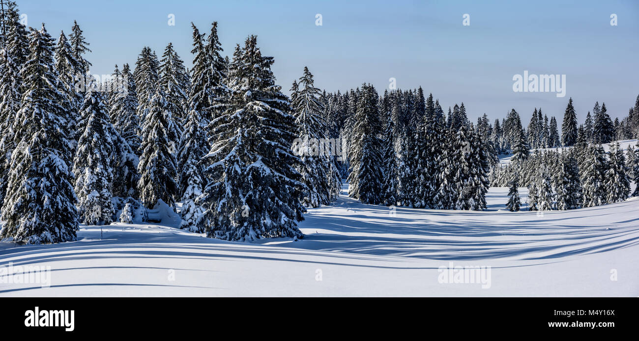 Panoramic Landscape. Winter landscape with long shadows Stock Photo - Alamy