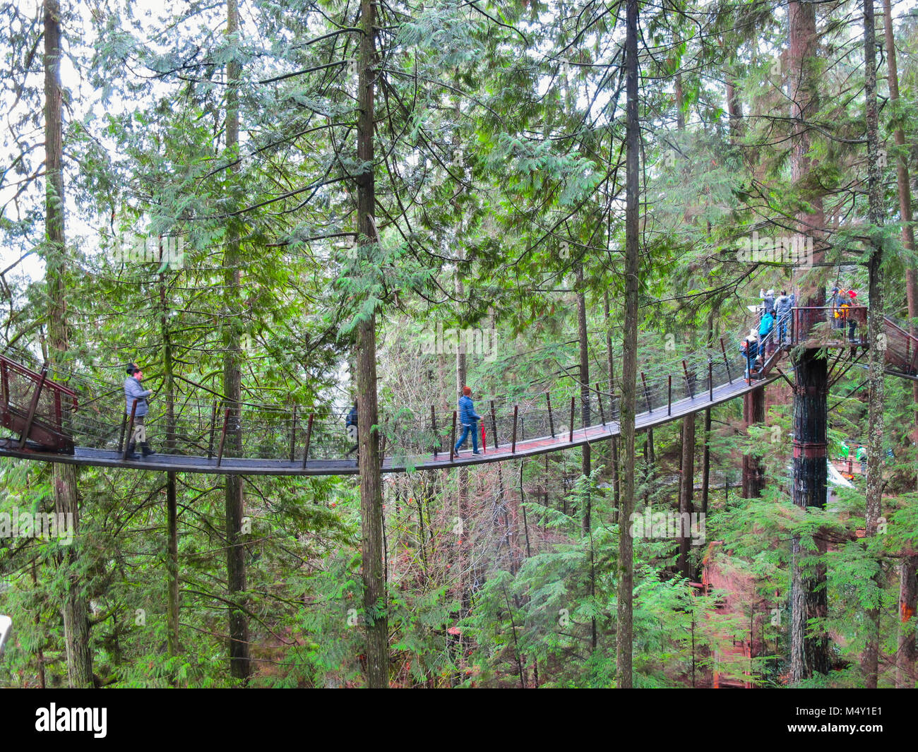 Capilano suspension bridge, Canada Stock Photo - Alamy