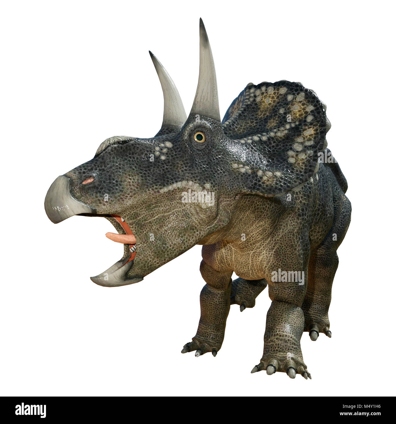 Dinosaur King Diceratops