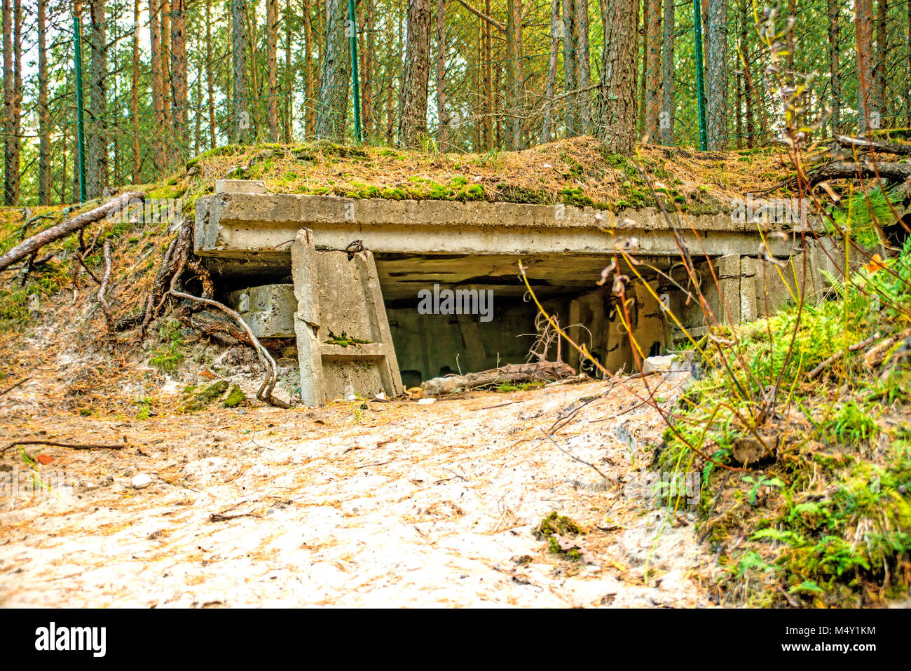 Bunker of ww2 in Poland Stock Photo - Alamy