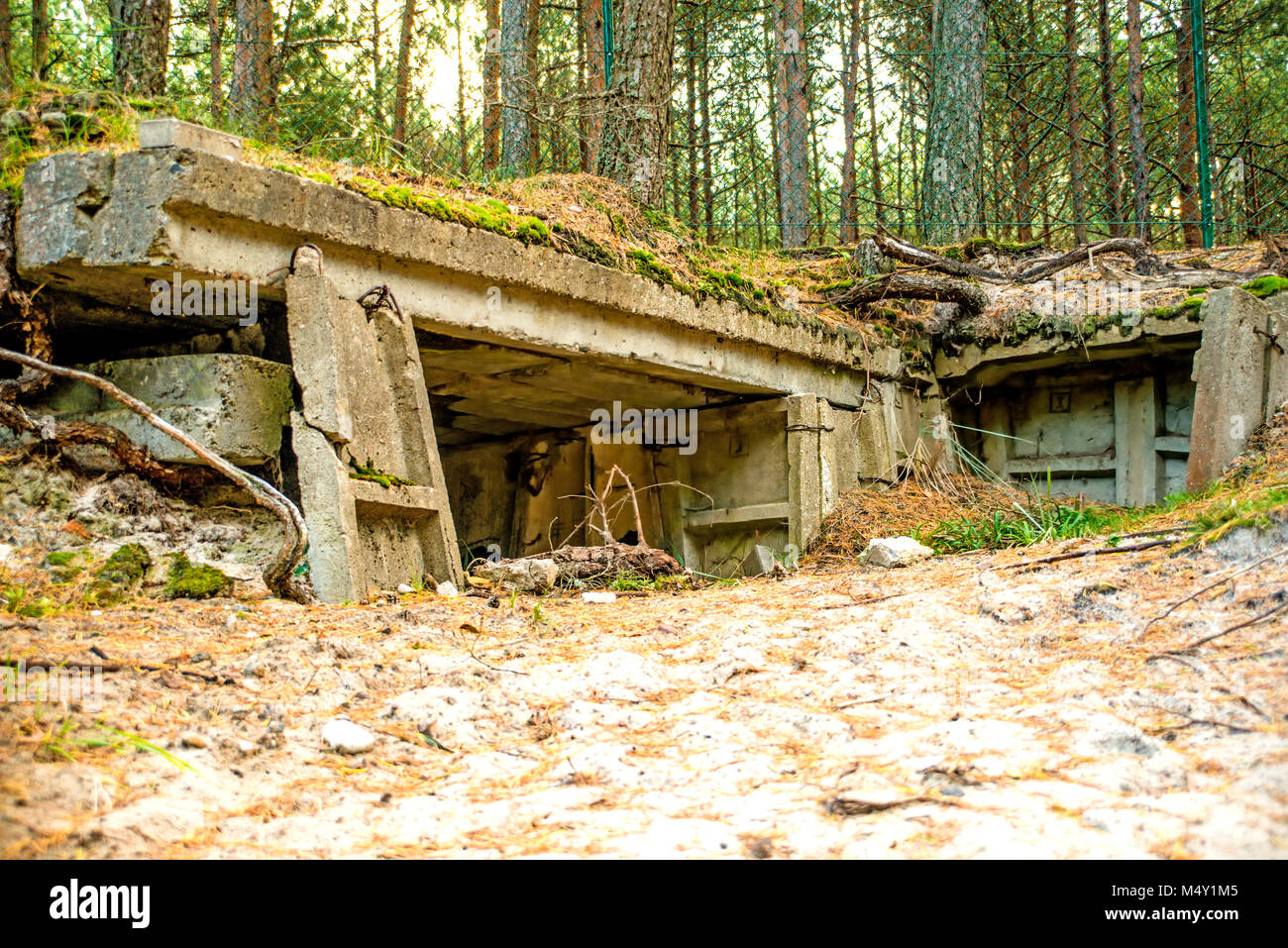 Ww2 bunker poland hi-res stock photography and images - Alamy