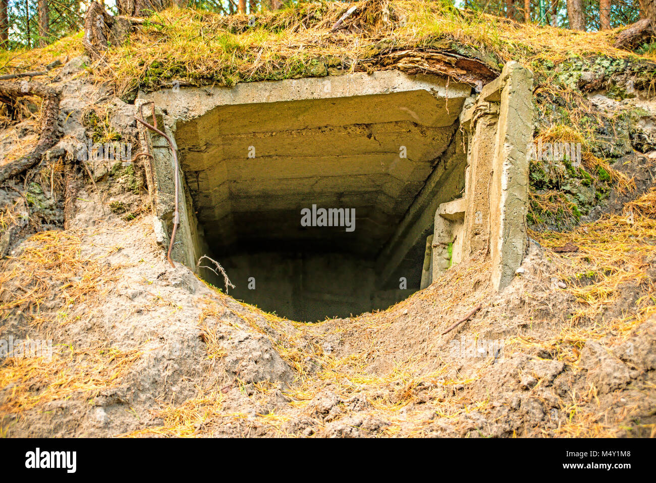 Ww2 bunker poland hi-res stock photography and images - Alamy