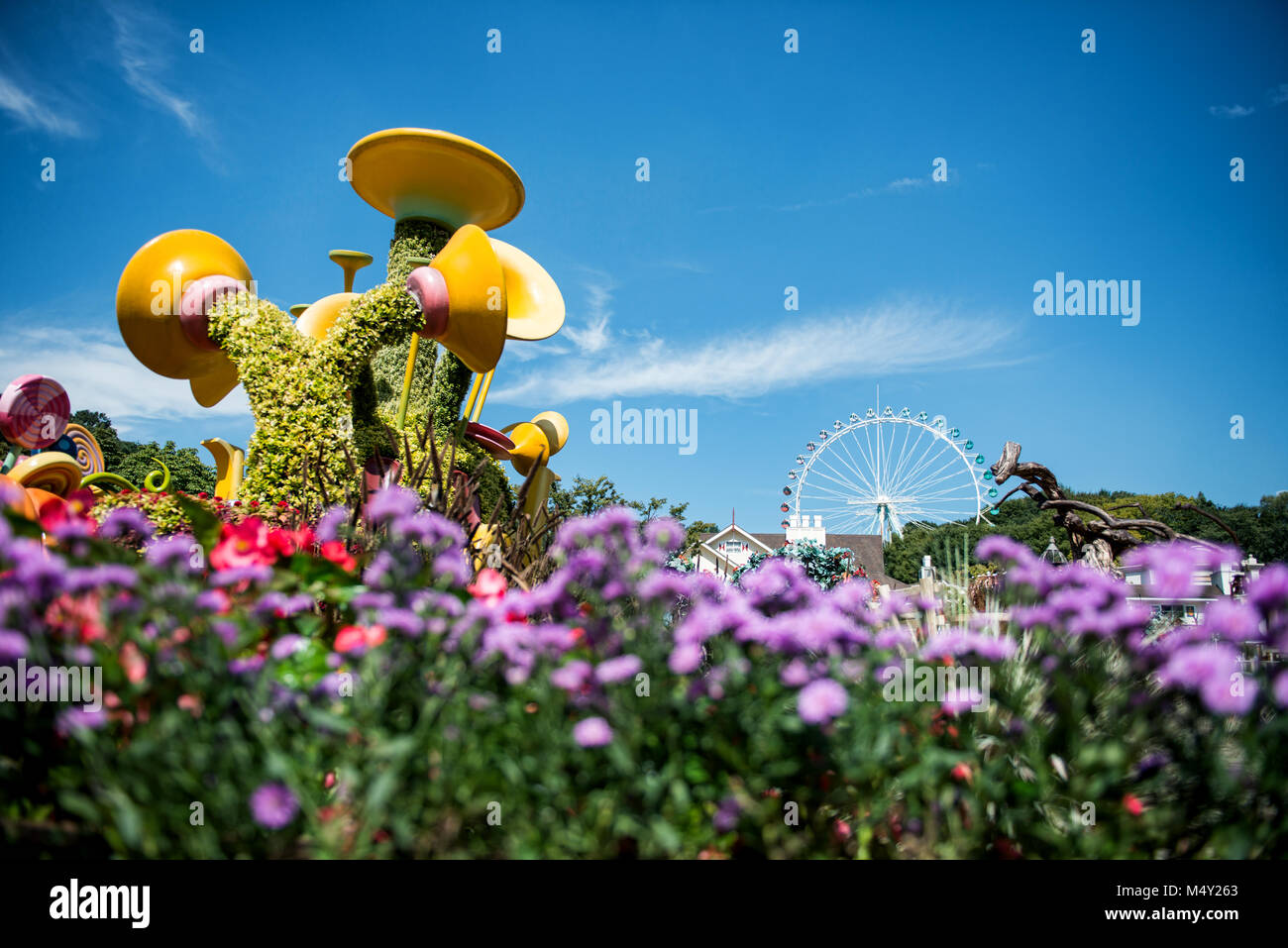 Everland resort hi-res stock photography and images - Alamy