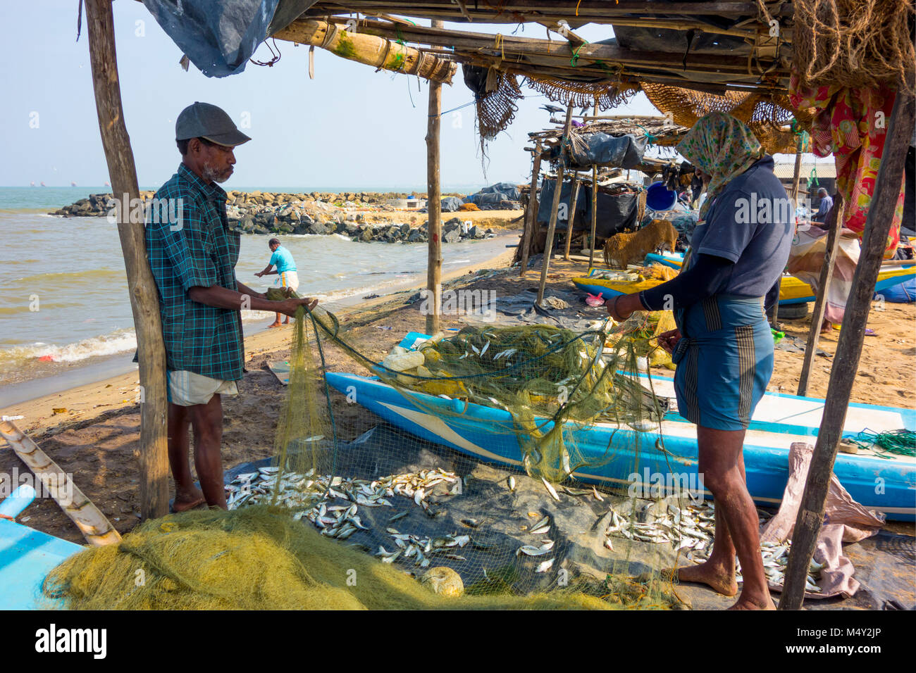 Negombo fish market, Sri Lanka Stock Photo - Alamy