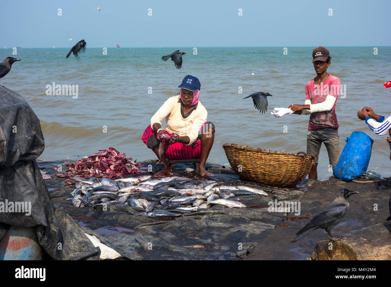 Negombo food market hi-res stock photography and images - Alamy