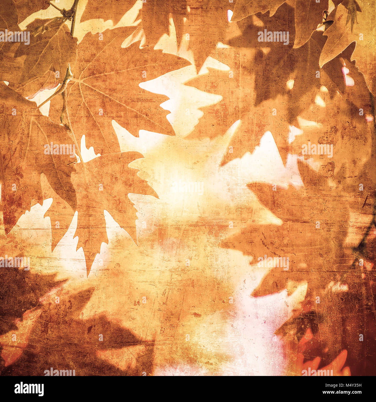 grunge background with autumn leaves Stock Photo - Alamy