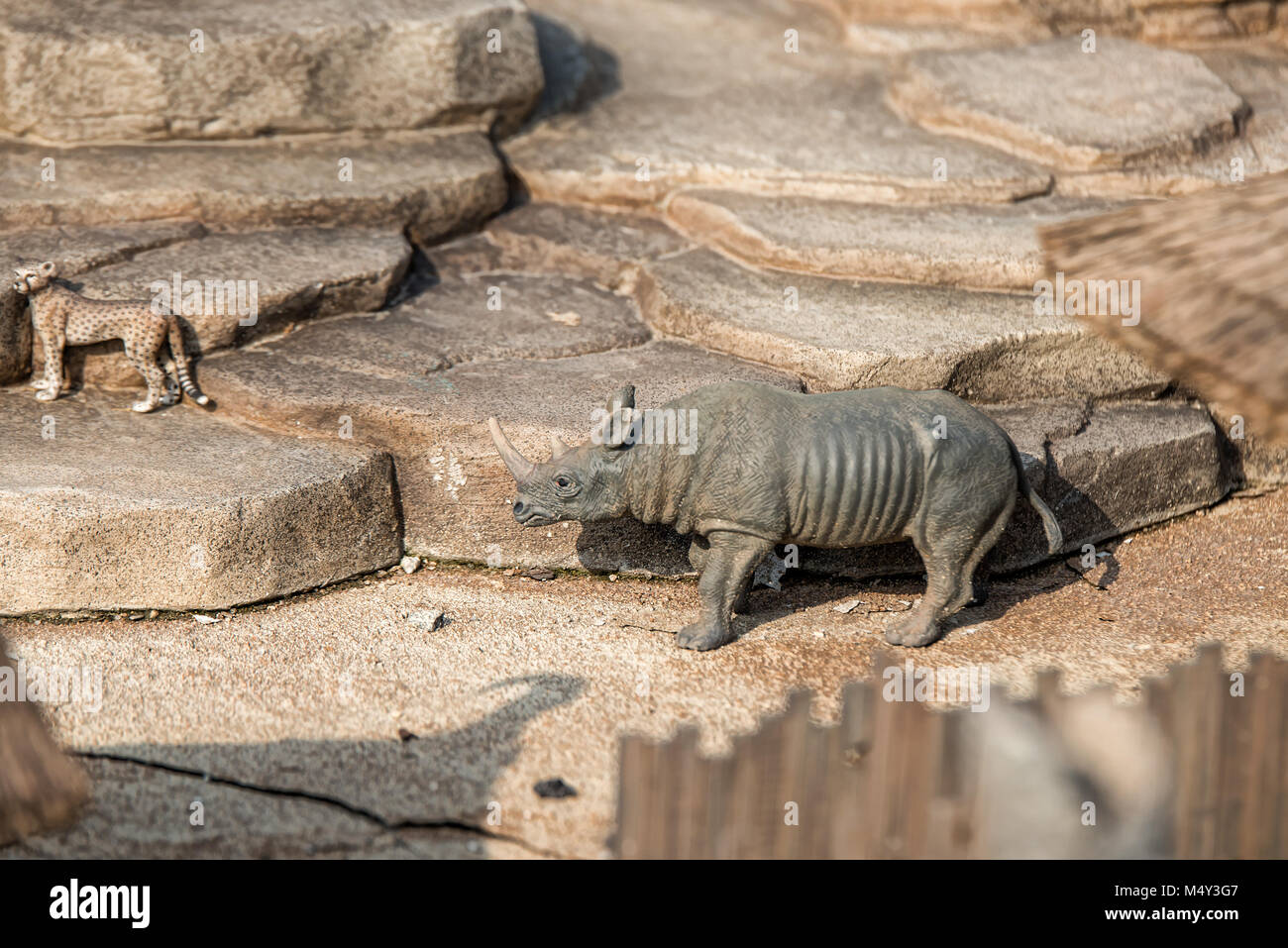 Rhino toes hi-res stock photography and images - Alamy