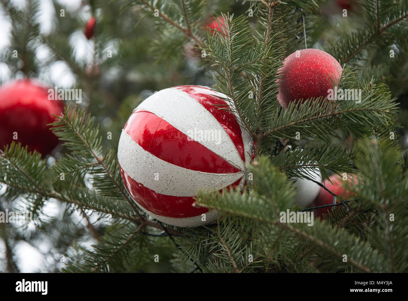 Tree accessories hi-res stock photography and images - Alamy