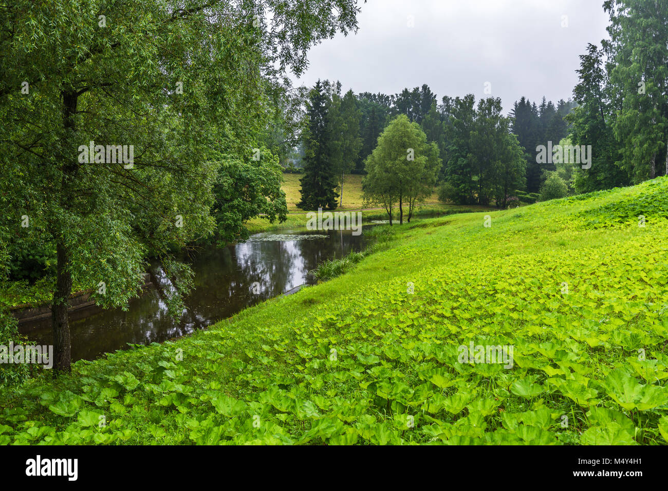 Small river flows hi-res stock photography and images - Alamy