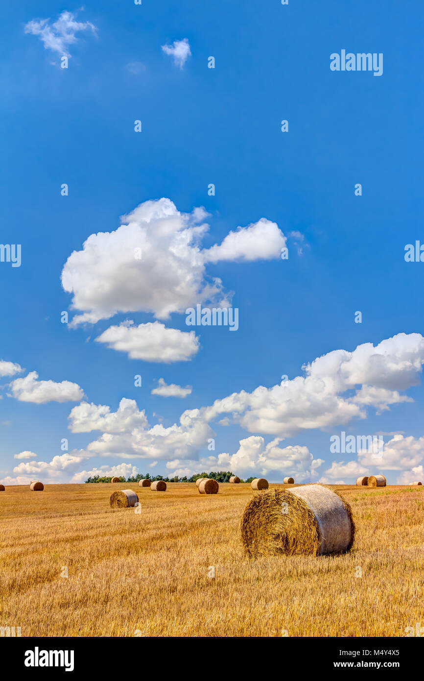 Chaff bales hi-res stock photography and images - Alamy