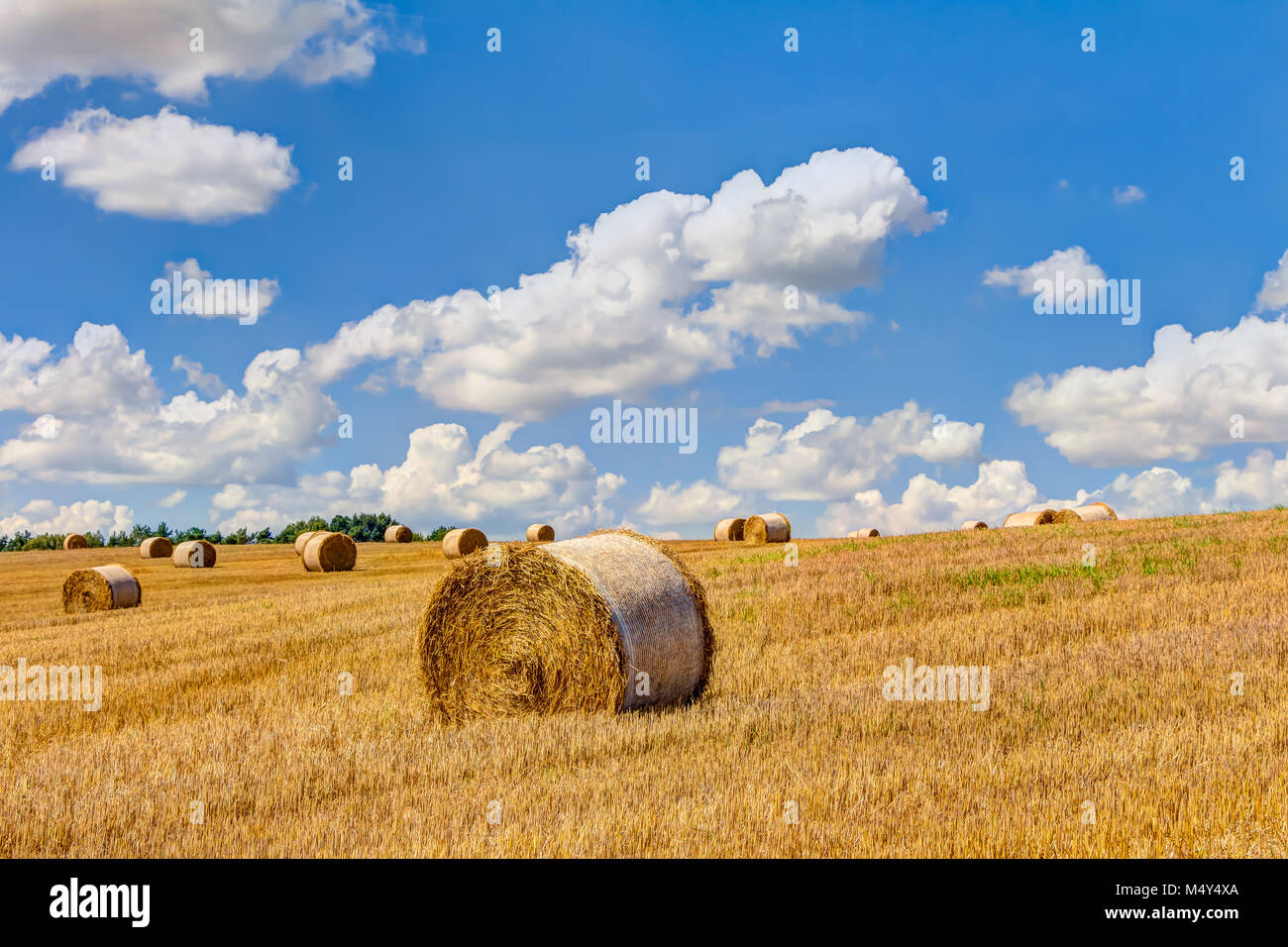 Chaff bales hi-res stock photography and images - Alamy