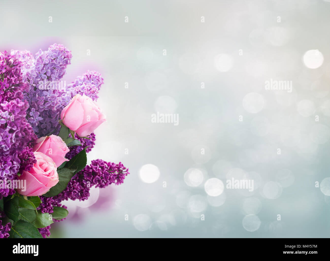 Lilac flowers with roses Stock Photo - Alamy