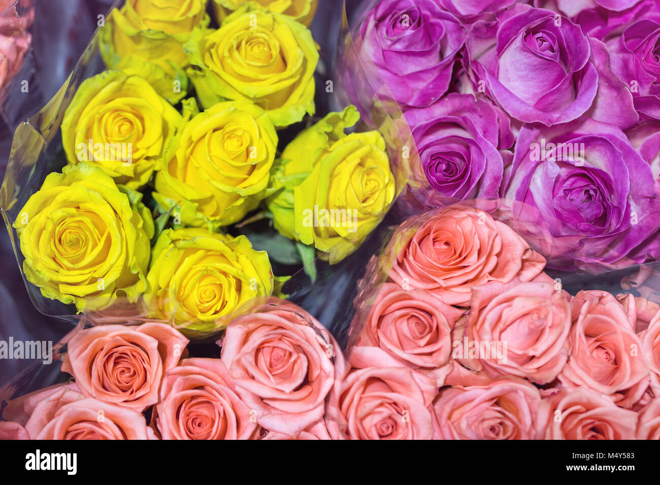Bunches of multiclored roses. Fresh flower background. Florist service ...
