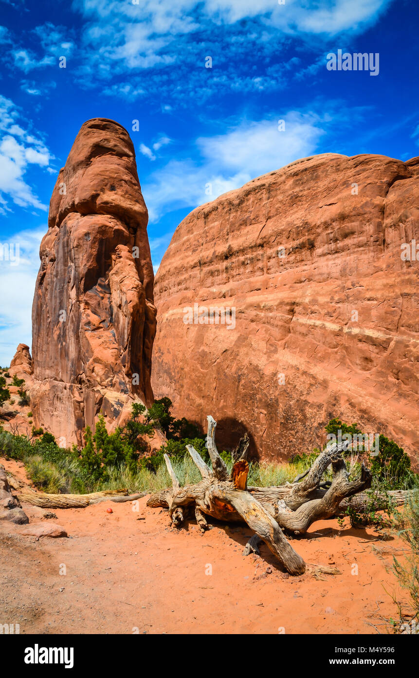 Vertical image of red rock formation and dead wood on sandy trail in ...