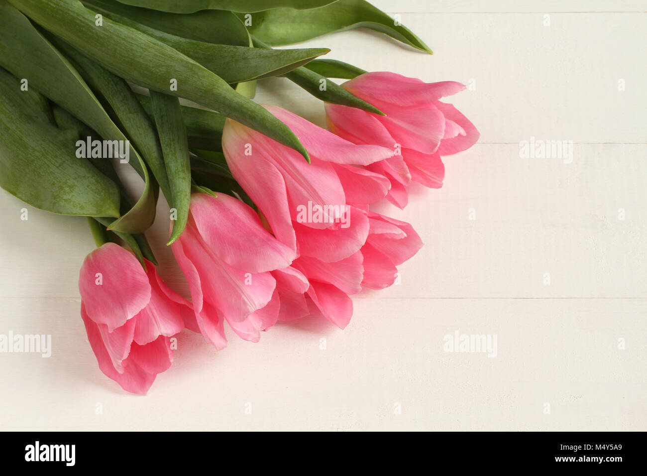 Five flowers painted hi-res stock photography and images - Alamy