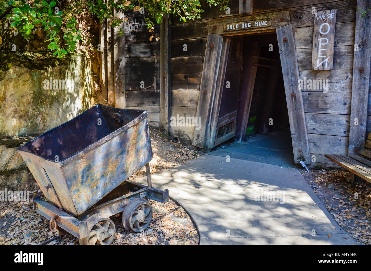 Are Dogs Allowed At Gold Bug Park