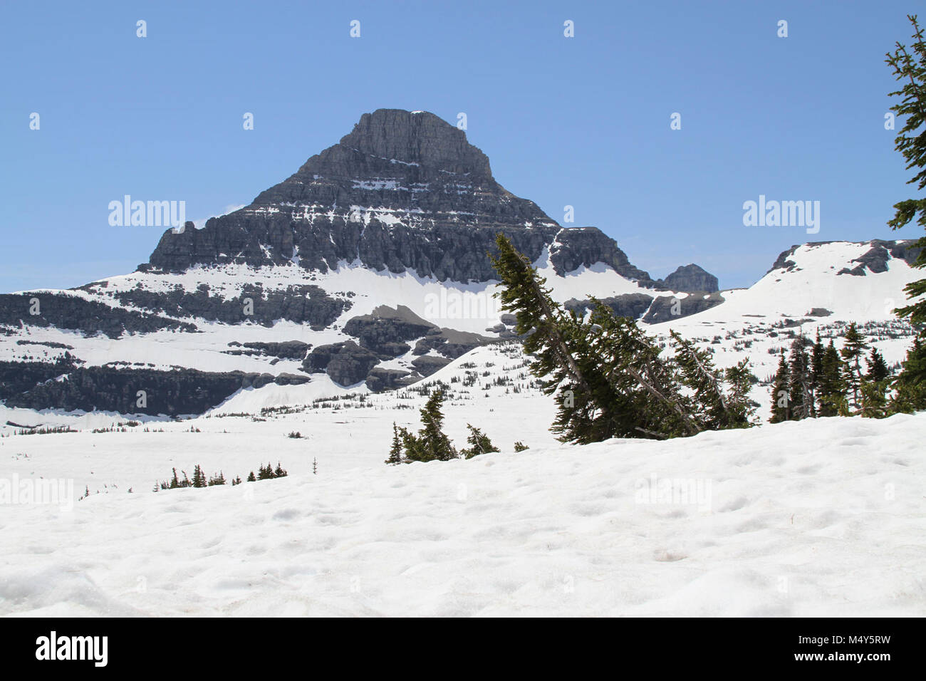 Reynolds Mountain in late June Stock Photo - Alamy